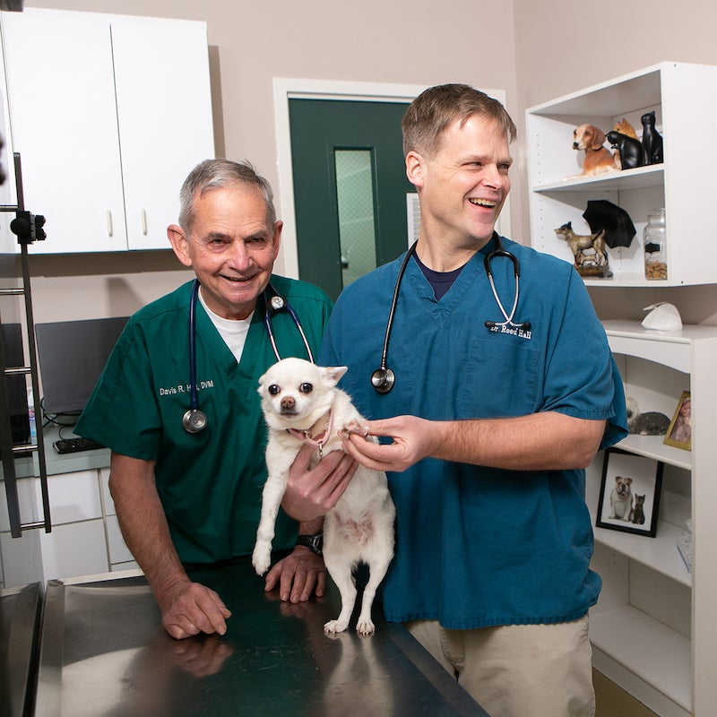 About Us | Vet Ready